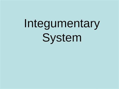Ppt Integumentary System Skin Hair And Nails Skin Epidermis