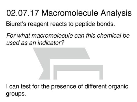 Macromolecule Analysis Ppt Download