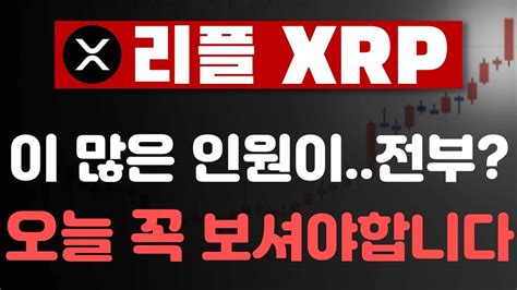 리플전망 머스크의 발언 이렇게 많은 인원이 피해 보상 정책까지 오늘 영상은 꼭 보셔야합니다 리플전망 리플호재