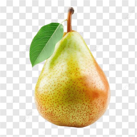 즙이 많은 신선한 배 클립 아트 신선한 배 과일 초록 Png 일러스트 및 이미지 에 대한 무료 다운로드 Pngtree