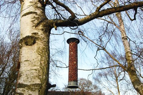 Tree Hooks Bird Feeder Hangers Handmade Wrought Iron