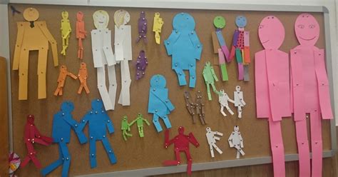 Ceip Alcalde Galindo Articulaciones En A