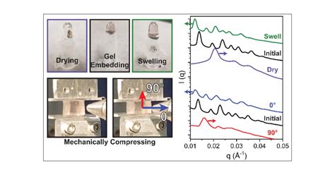 Dynamic Manipulation Of Dna Programmed Crystals Embedded In A Polyelectrolyte Hydrogel Acs