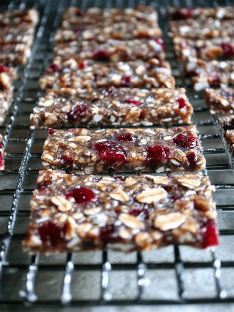 Pemmican With Fruit Your Ultimate Outdoor Energy Snack