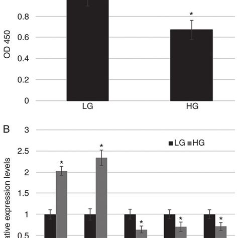 Effect Of Shh On Cell Proliferation And Gene Expression A