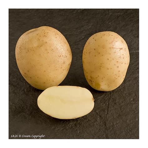 Estima Seed Potatoes 2kg Dewaldens Garden Centre