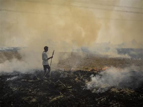 Supreme Court Of India Plea North India Pollution Level Ngt Punjab