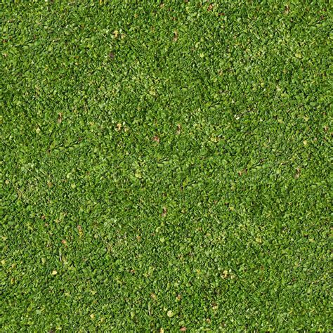 Green Grass Seamless Tileable Texture Stock Image Colourbox