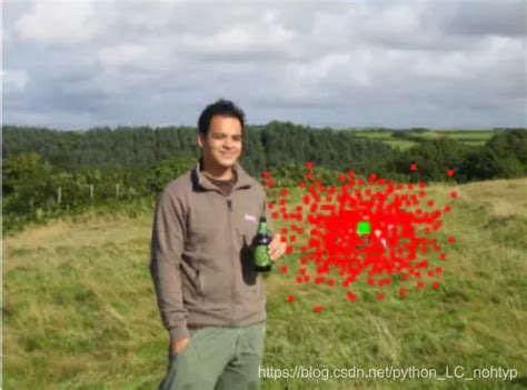 Deformable Convolutional Networks 可变形卷积网络解析 Csdn博客