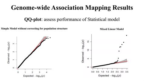 Genome Wide Association Mapping Ppt