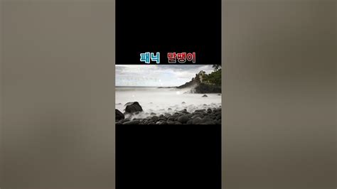 패닉 Panic 달팽이 이적 꿈 발라드 Youtube