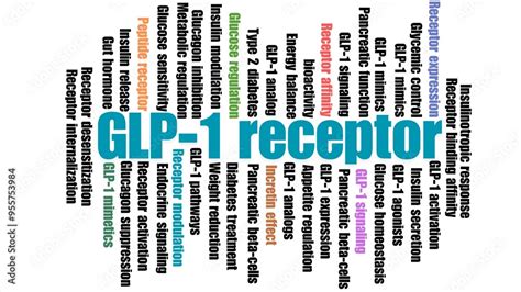 Understanding Glp 1 Receptor The Science Behind Diabetes Control The