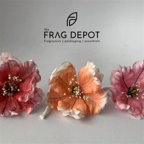 Magnolia 6cm Sola Paper Sola Flower For Diffusers Shopee Philippines