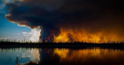 Boreal Forest Fires Concord Consortium