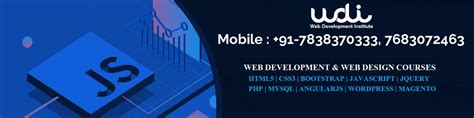 Web Development Institute Startus