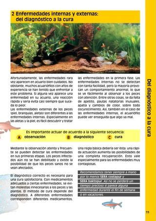 Como Cuidar De Manera Sana A Sus Peces Ornamentales Pdf