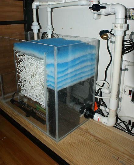 Side View Of Sump Setup Saltwater Aquarium Setup Saltwater Fish Tanks