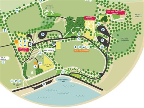 Complex Maps Brilliant Trails