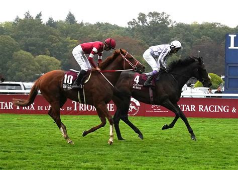 凱旋門賞に出走したシンエンペラーがフランスから帰国、競馬学校で検疫へ スポニチ競馬web