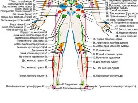 Массажер S-780 (СЦЭК – стимулятор циркуляции энергии и крови ...