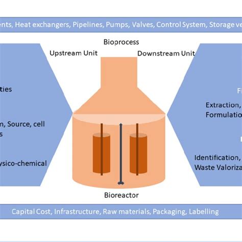 Summary Of The Key Areas Of Consideration For Cultured Meat Bioprocess