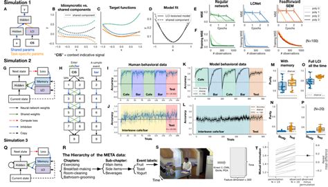A Model Architecture For Simulation 1 B The Target Functions That Download Scientific