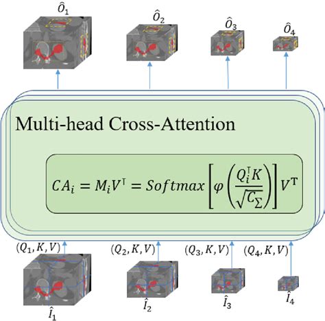 D Multi Head Cross Attention Documentclass Pt Minimal