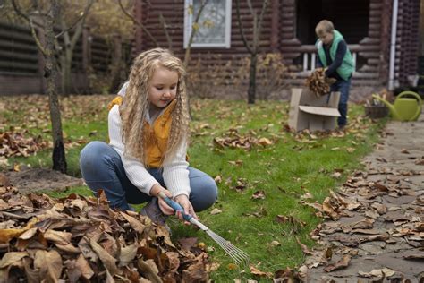 Garder Un Joli Jardin Et Propre En Automne C Est Possible