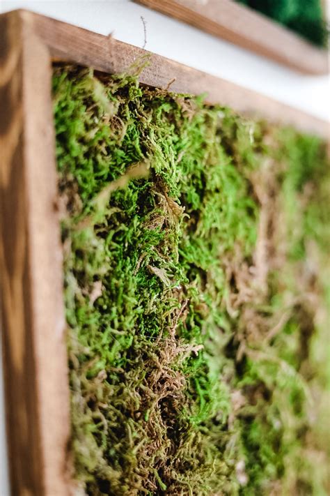 How To Make Diy Moss Wall Art Cottage On Bunker Hill
