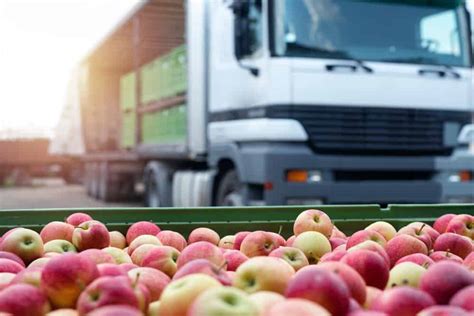 Transporte De Alimentos Quais Os Principais Cuidados Tn3 Soluções