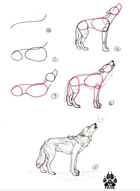 How To Draw A Bald Eagle A Step By Step Guide Artofit