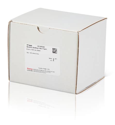 Thermo Scientific Western Blotting Filter Papers 083 Mm Thick 8 X 10