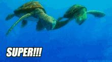 Squirt Finding Nemo 
