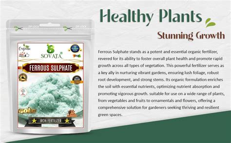 Sovata® Ferrous Sulphate Powerful Essentail Organic Fertilizer For