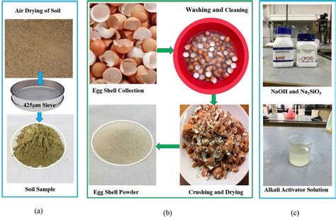 Egg Shell Powder Processing At Richard Armes Blog