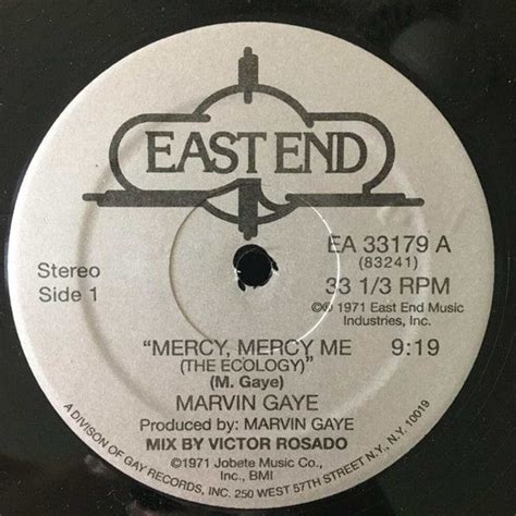 Marvin Gaye Mercy Mercy Me The Ecology 12 Ebay