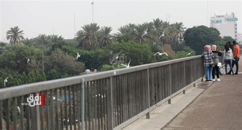 اعتقال أفراد عائلة يمازحون على الانتحار في بغداد شفق نيوز