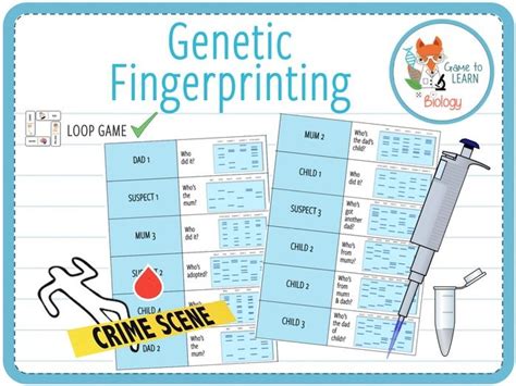 Genetic Fingerprint Mysteries Loop Game Ks4 5 Teaching Resources