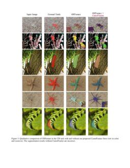 Unveiling Camouflage A Learnable Fourier Based Augmentation For Camouflaged Object Detection