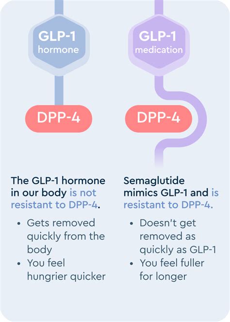 Glp 1 Receptor Agonists How Wegovy Ozempic And Mounjaro Work