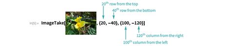 Crop 2D ImagesWolfram Documentation