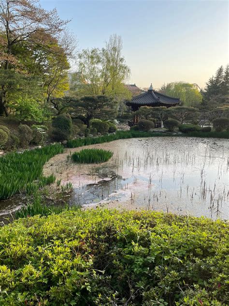 지난 주 두발 자전거에 성공한 첫째 덕분에 네 식구 자전거를 타다 보니 남편은 동남아 다녀온 듯 시커먼쓰가 되고 아이들은
