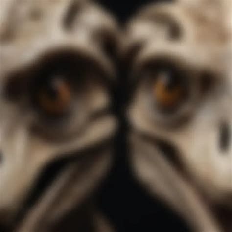 Exploring The Velociraptor Skull Replica A Comprehensive Guide