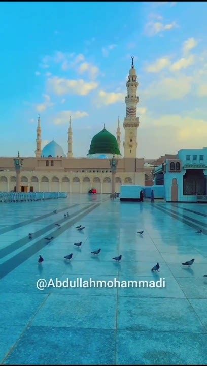 واقعا زیباست ؟ 🤔🌹 Youtube