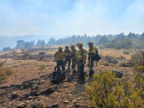 Más De 2800 Hectáreas Fueron Destruidas Por El Incendio En El Parque
