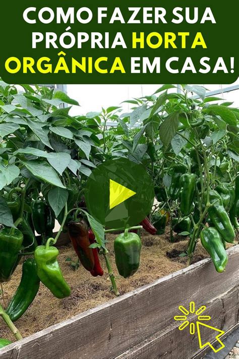Aprenda a plantar e cultivar uma horta orgânica em casa CLIQUE AQUI