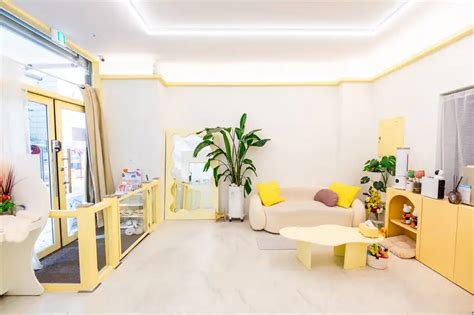 옐로우 컬러 포인트 캐주얼 모던 컨셉 10평 애견미용샵 인테리어 금천구 가산동 옐로우 컬러 포인트 캐주얼 모던 컨셉 10평 애견미용샵 인테리어 금천구 가산동