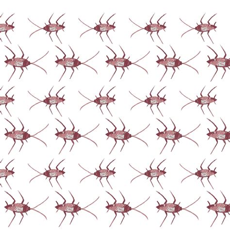 Premium Vector Pattern Of Cockroach Watercolour