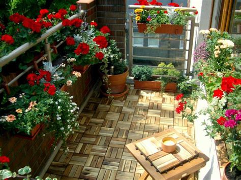 Tips Berkebun Di Lahan Sempit KAN Jabung Syariah Jawa Timur