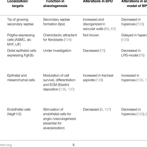 Interaction Between Type Ii Alveolar Epithelial Cells Aec Ii And